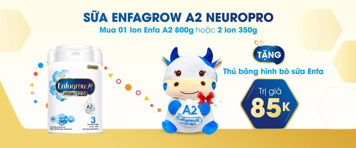 Khuyến mại Enfa Tháng 7 năm 2021 - Kids PLaza